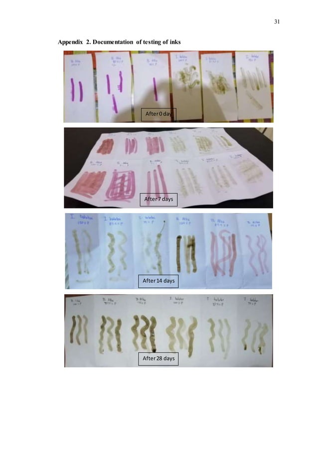 Final paper formulation of organic ink using ipomoea batatas | DOCX