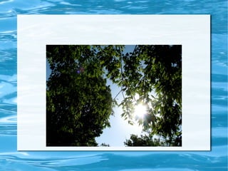 Final-photography | ODP