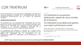 Embriologia Cardiovascular , revision desde el punto de vista ...