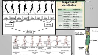 Pathological gaits.pptx