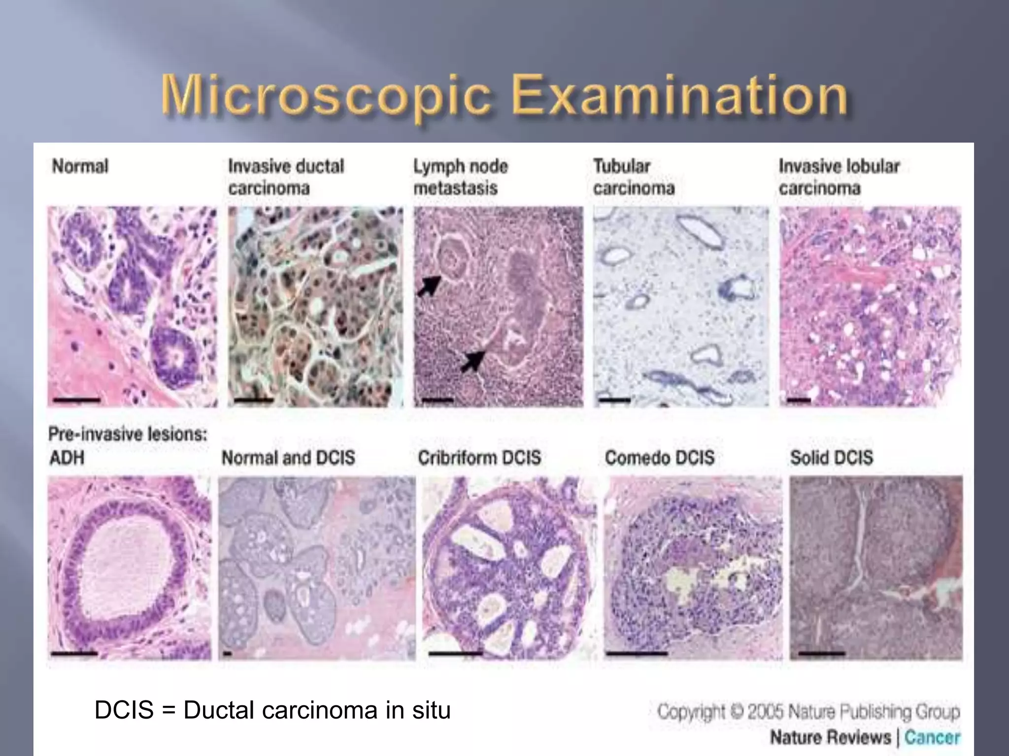 final pathophysiology.pptx