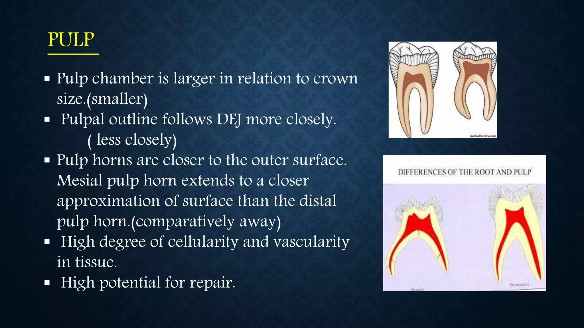Pediatric Endodontics - Indirect and Direct pulp capping,Pulpotomy, Pulpectomy,Apexogenesis and ...