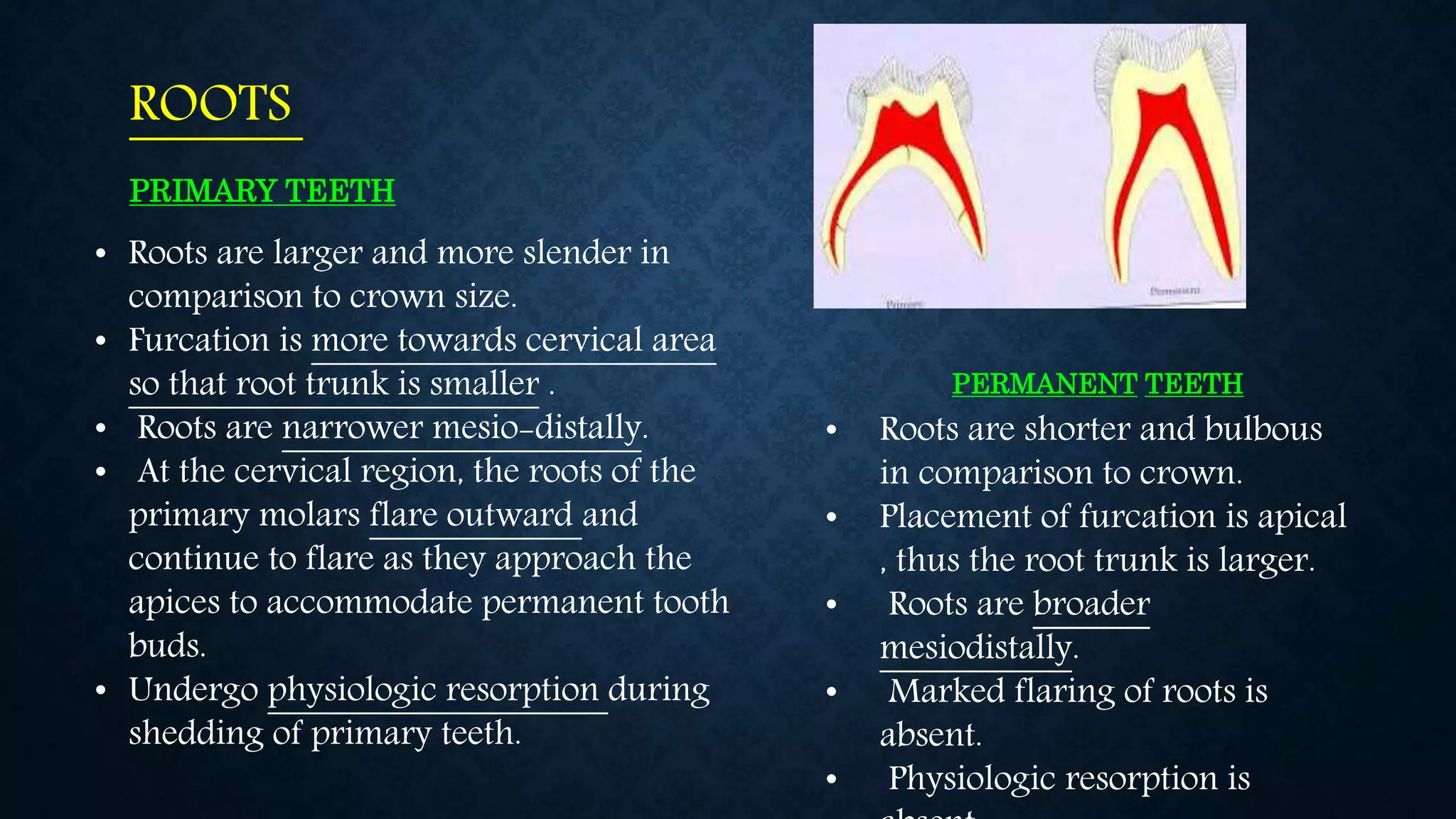 Pediatric Endodontics - Indirect and Direct pulp capping,Pulpotomy ...