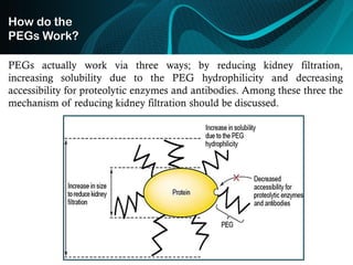 PEGylation technique | PDF