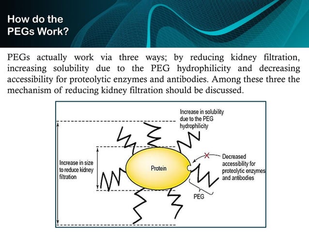 PEGylation technique | PDF