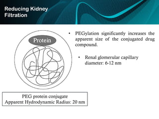 PEGylation technique | PDF