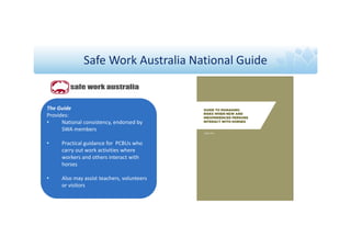 Development of a NSW Code of Practice for managing risks when new and ...