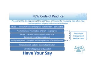 Development of a NSW Code of Practice for managing risks when new and ...