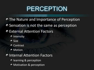 perception | PPTX