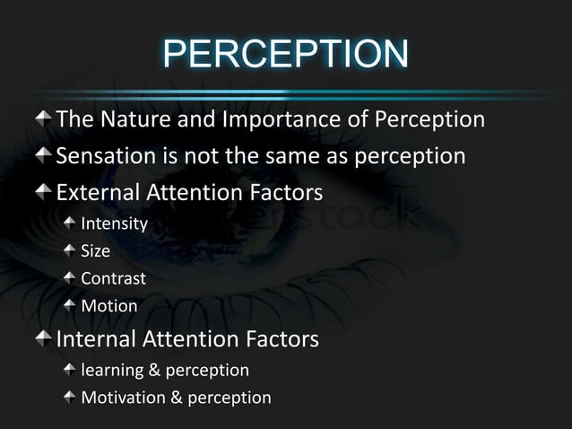 perception | PPTX