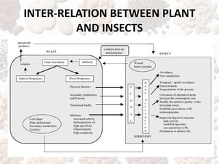 Final pest legume plant interaction | PPTX