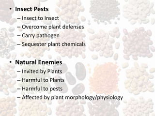 Final pest legume plant interaction | PPTX
