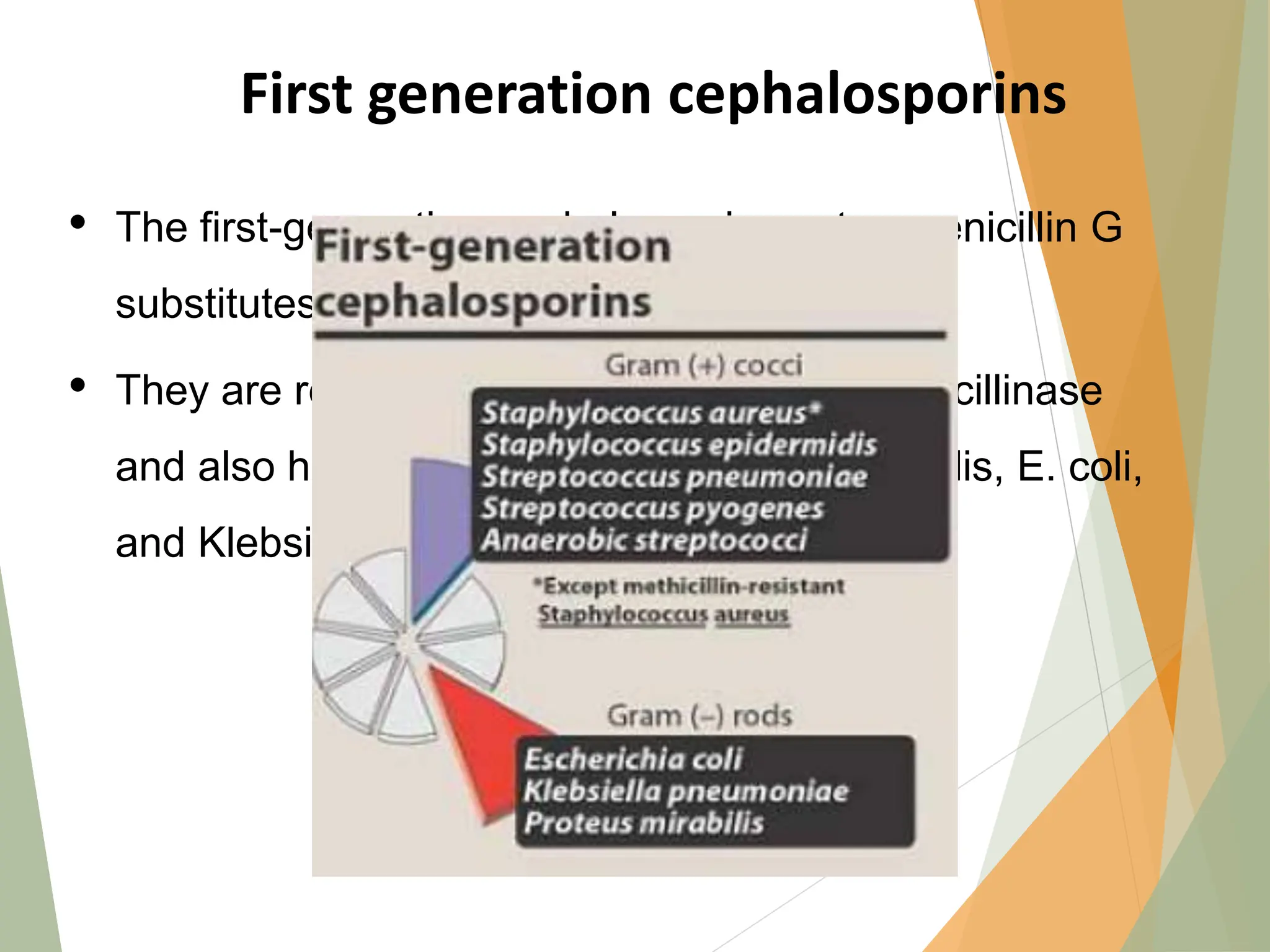 Antibiotics affecting cell wall synthesis | PPT