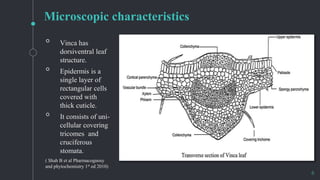 Monographic Analysis of Catharanthus roseus.pptx