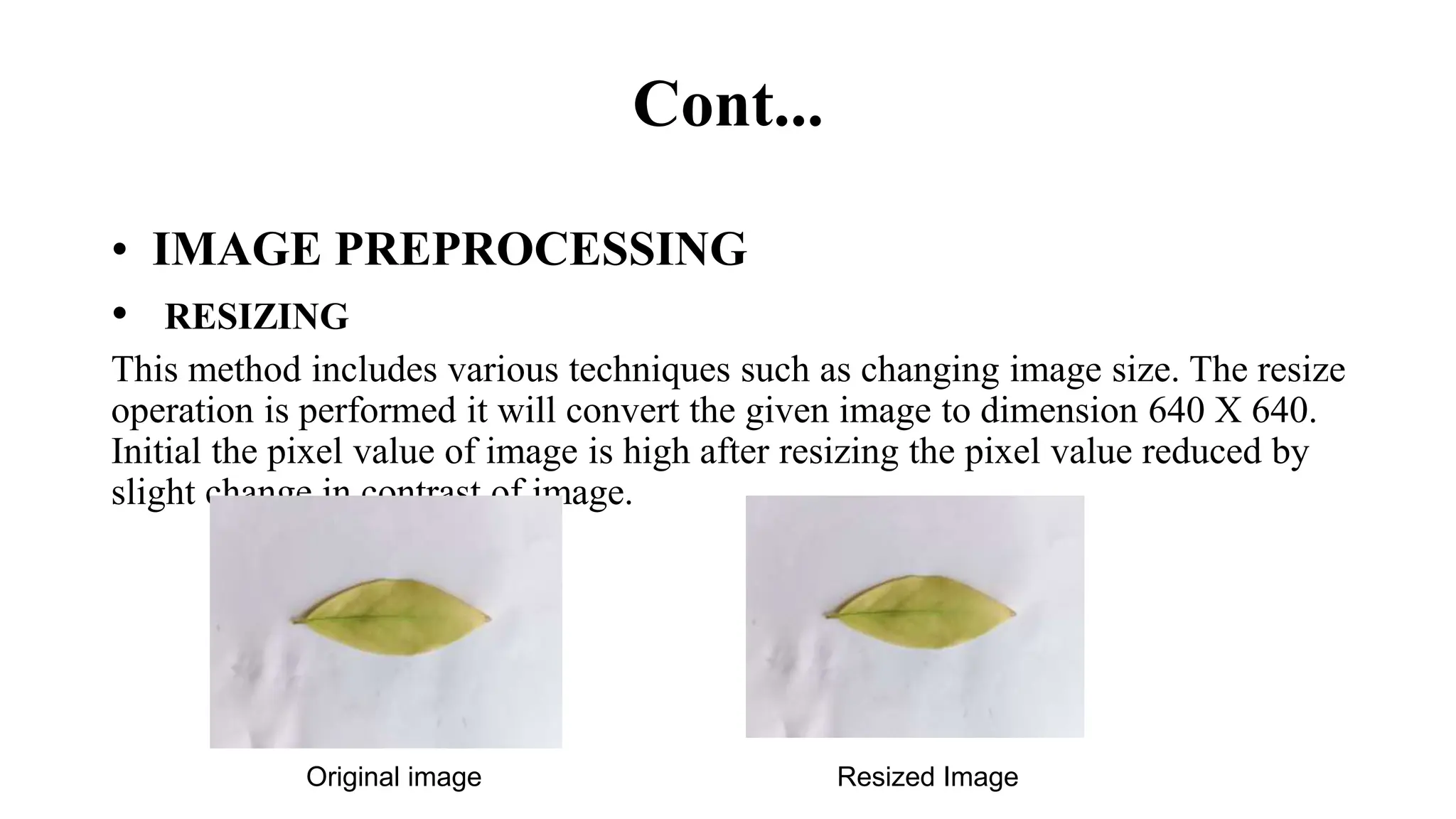 final phase ppt on detection of bilva patra leaf.pptx