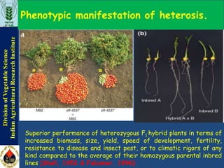 Heterosis breeding-Classical and molecular concepts | PPTX