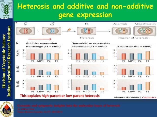 Heterosis breeding-Classical and molecular concepts | PPTX