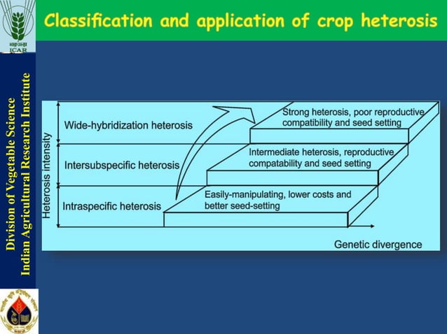 Heterosis breeding-Classical and molecular concepts | PPTX