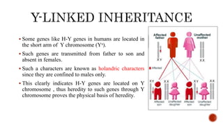 physical basis of heridity | PPTX
