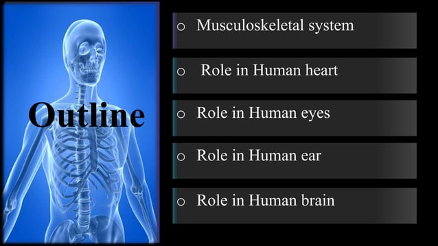Physics on the topic the roll of physics in humans body | PPT