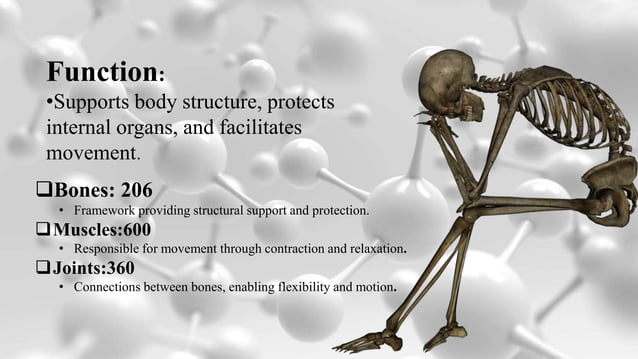 Physics on the topic the roll of physics in humans body | PPT