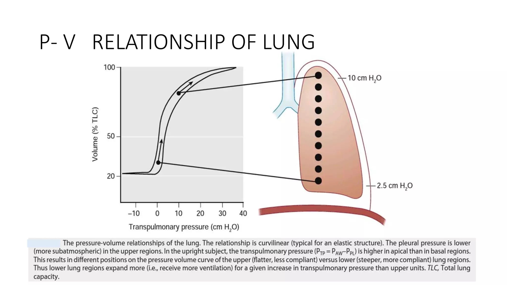 PHYSIOLOGY OF One lung ventilation.pptx