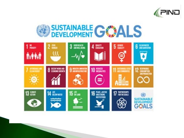Status of the Sustainable Development Goals (SDGs) in the Niger Delta | PPTX | Non-Profit ...