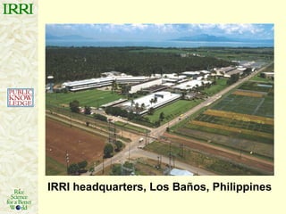 Public Knowledge Project | PPT