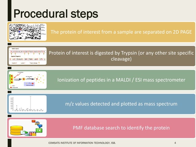 Peptide Mass Fingerprinting