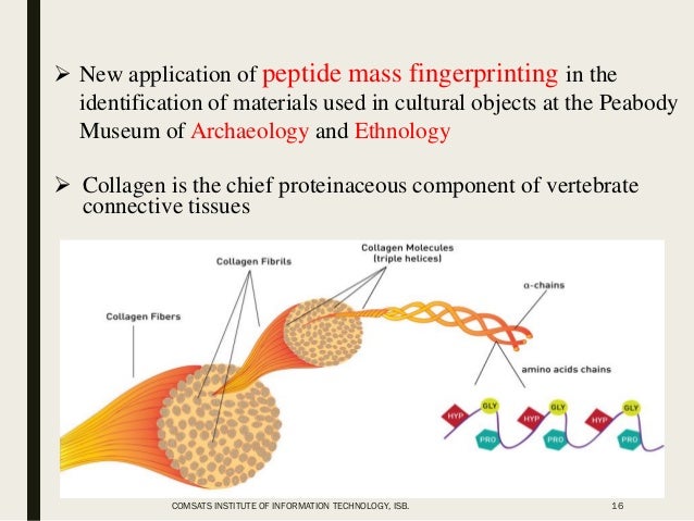 Peptide Mass Fingerprinting