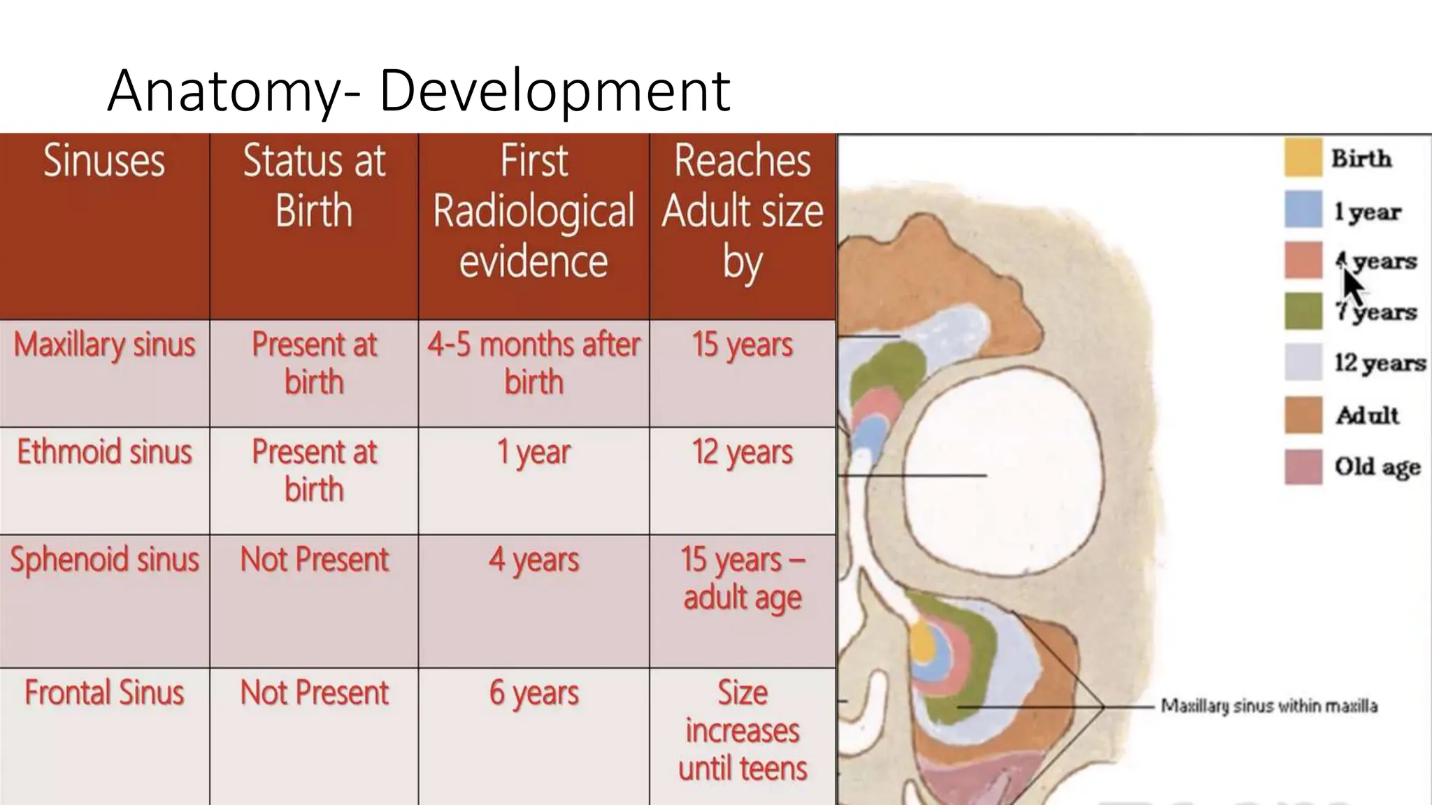 Overview of Paranasal sinus Radiology.pptx