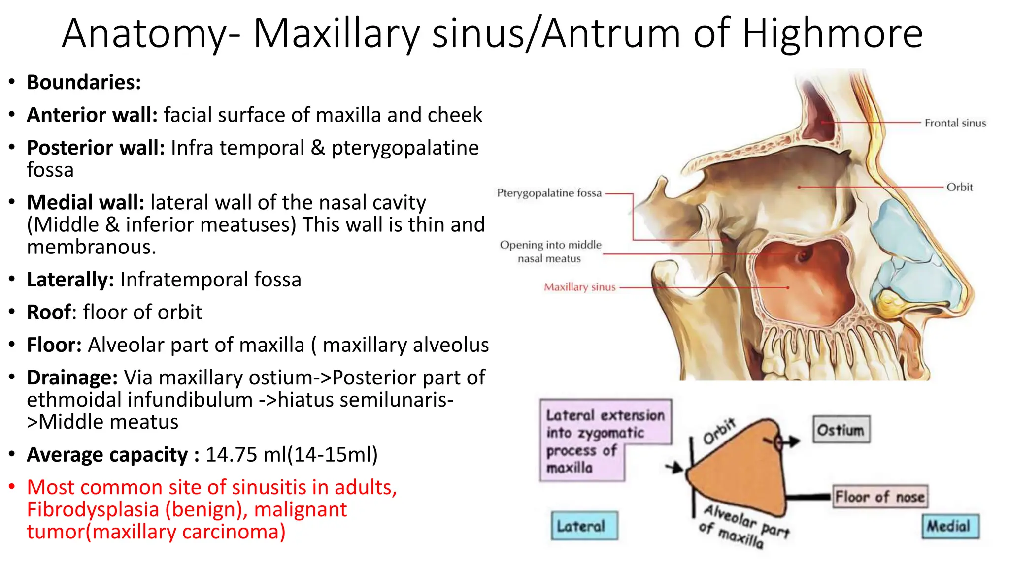 Overview of Paranasal sinus Radiology.pptx