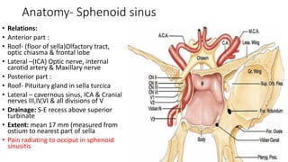 Overview of Paranasal sinus Radiology.pptx