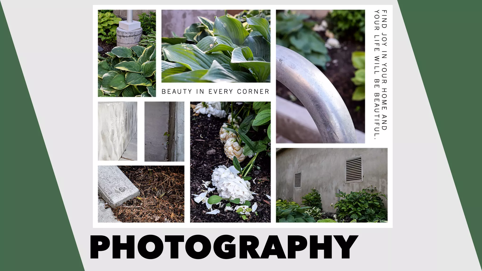 Rachel Redford – Final Portfolio | PDF