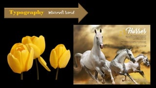 Final Portfolio Project | PDF