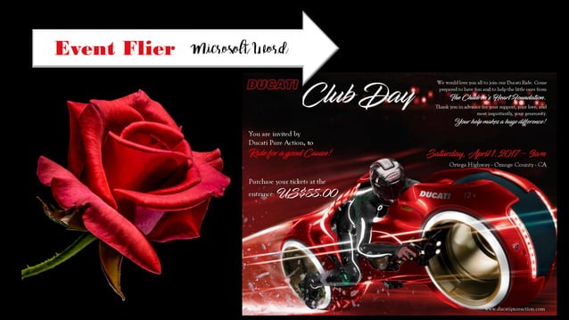 Final Portfolio Project | PDF