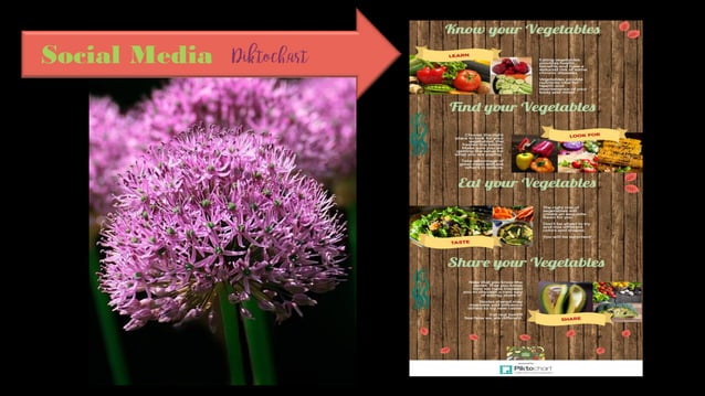 Final Portfolio Project | PPT