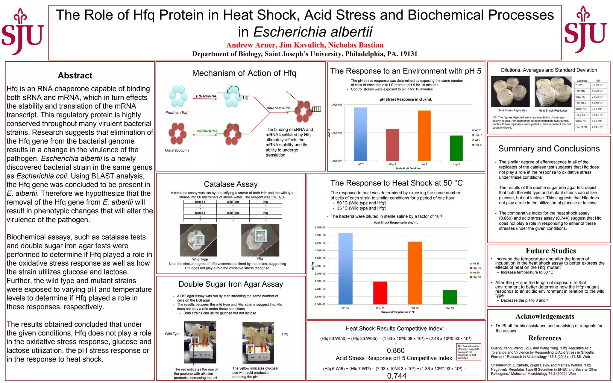 Final poster project microbiology | PPTX