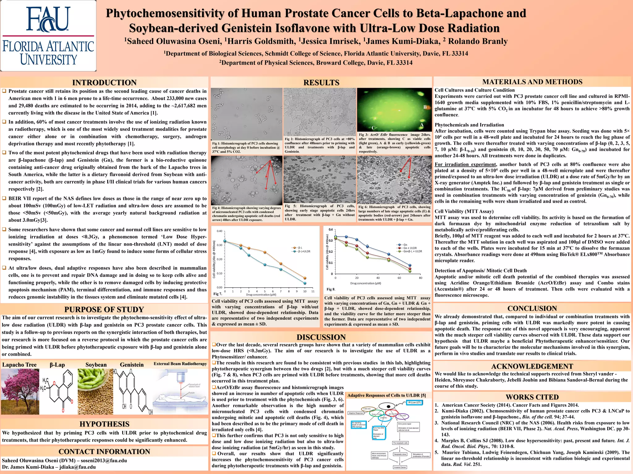 Phytochemosensitivity of Human Prostate Cancer Cells to Beta-lapachone ...