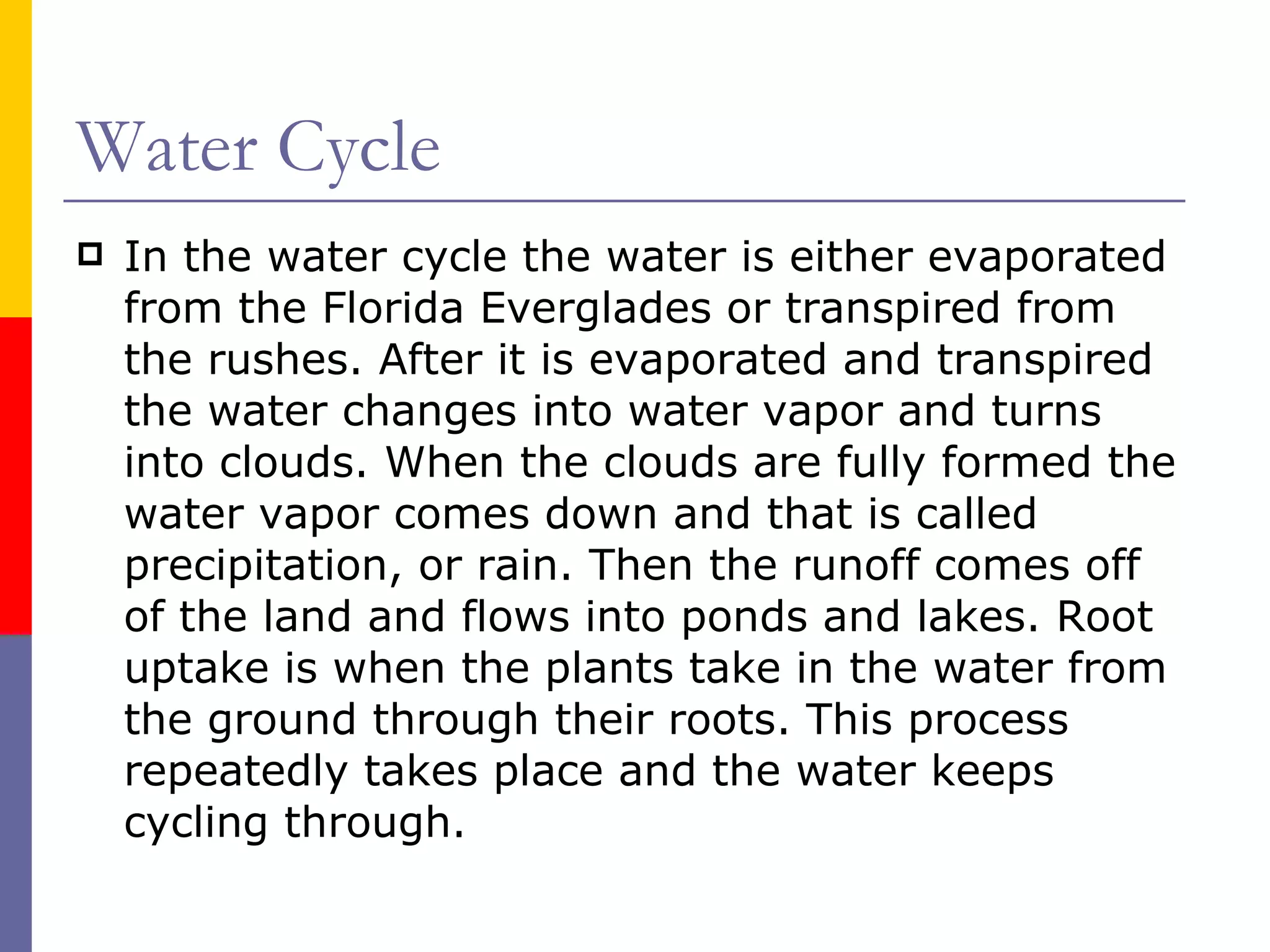 Freshwater Wetlands | PPT