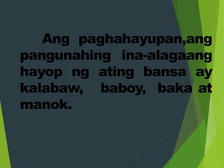 FINAL POWERPOINT.pptx