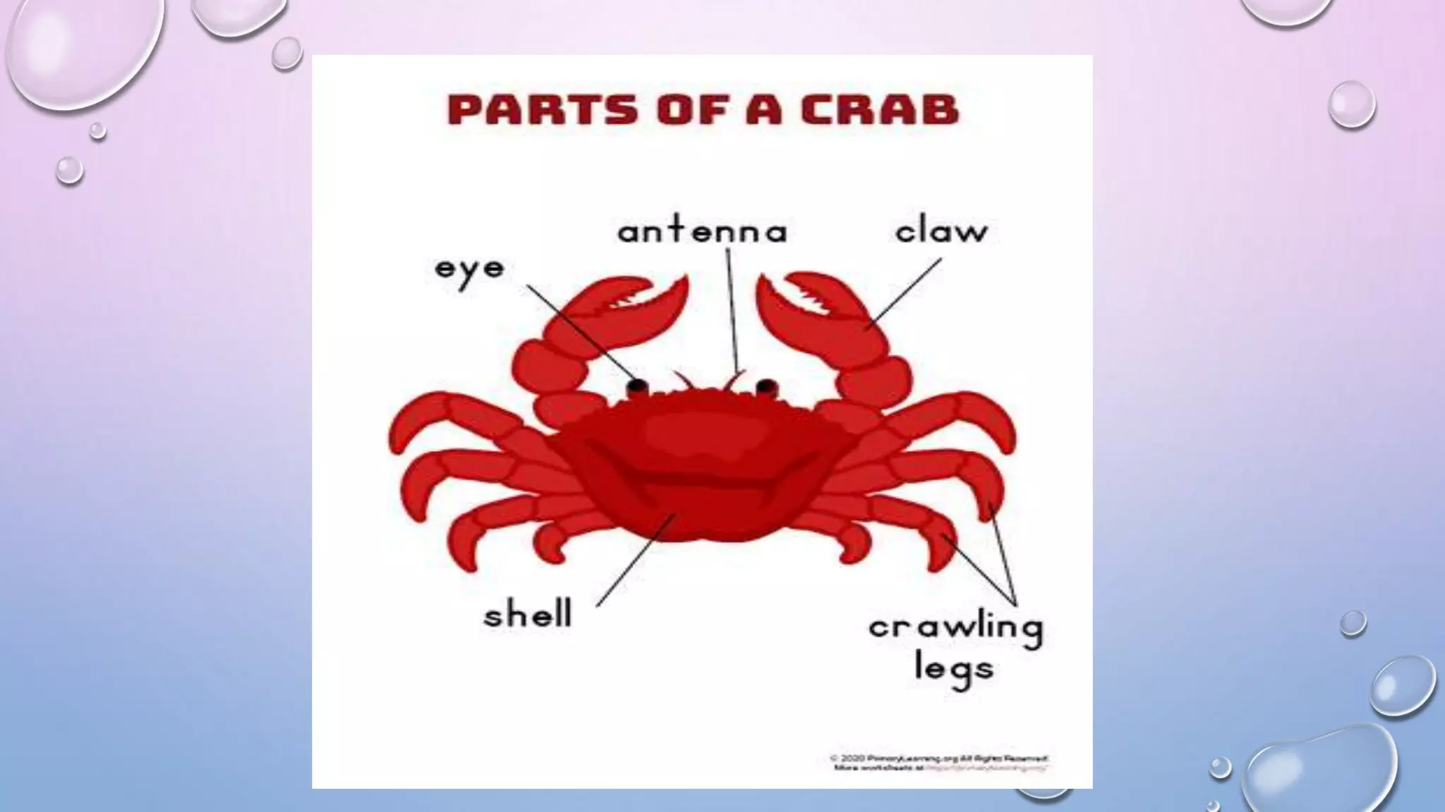 final POWERPOINT cot 2 2023 quarter 4.pptx