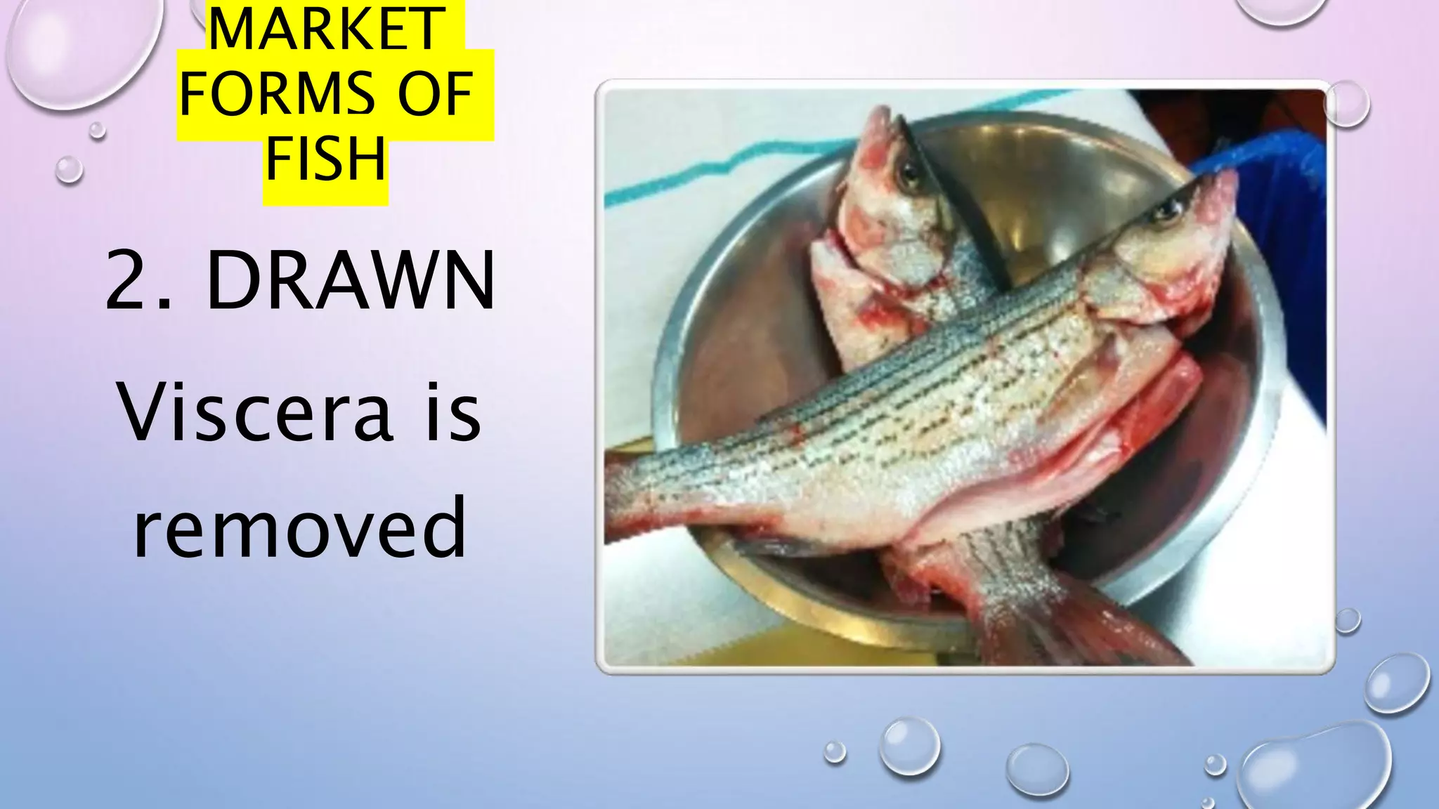 final POWERPOINT cot 2 2023 quarter 4.pptx