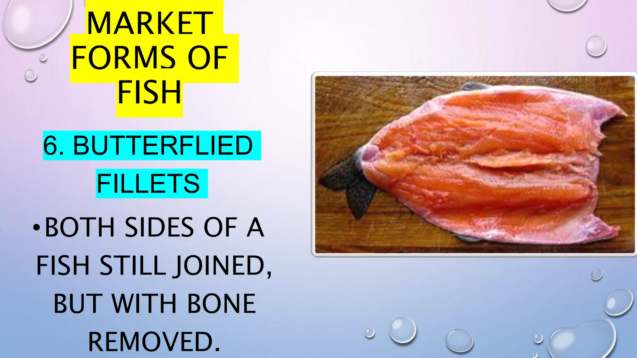 final POWERPOINT cot 2 2023 quarter 4.pptx