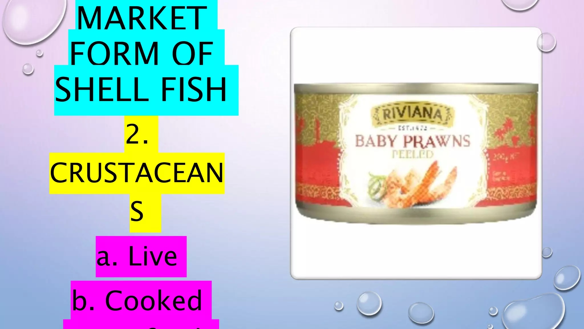 final POWERPOINT cot 2 2023 quarter 4.pptx