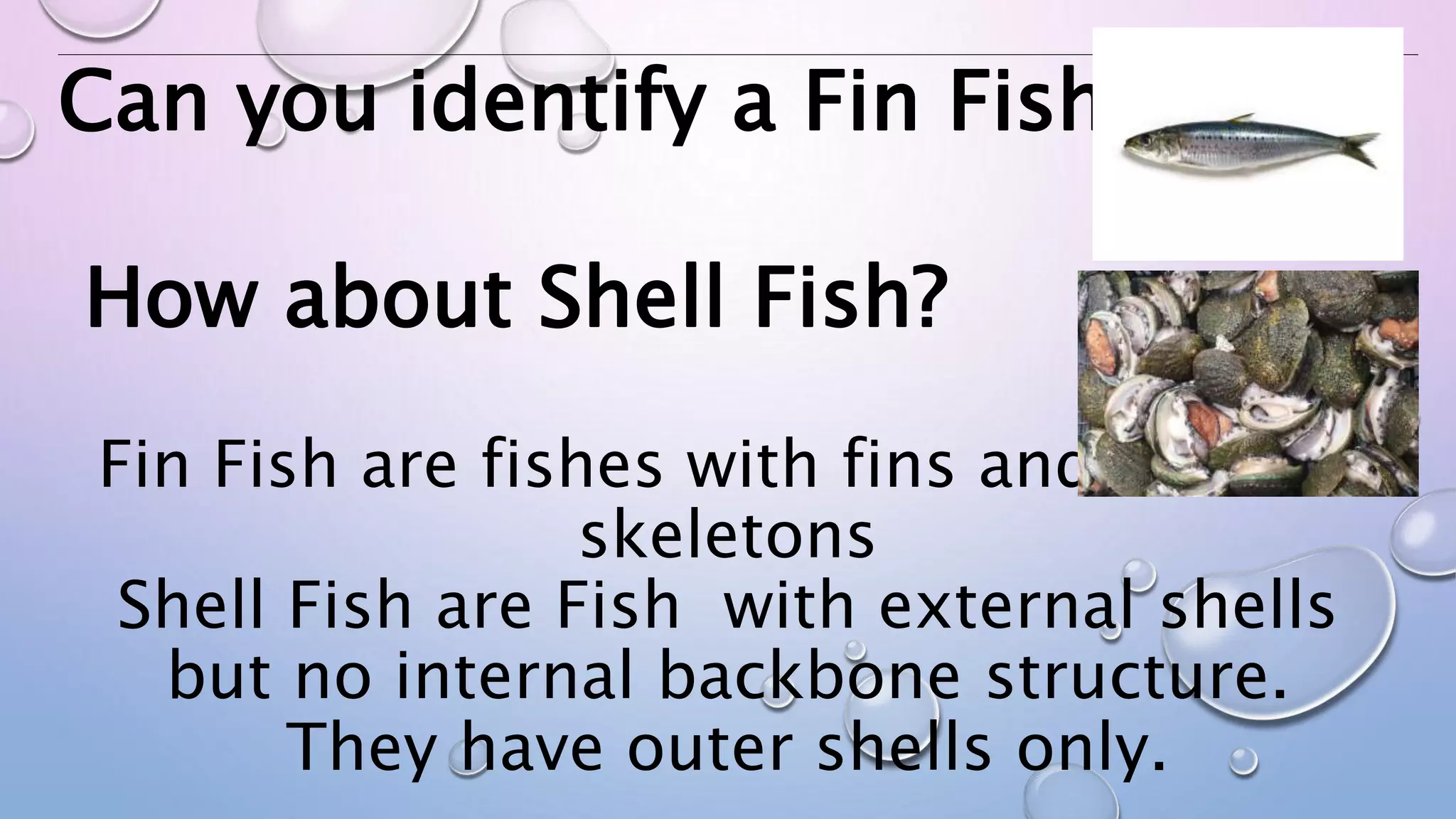 final POWERPOINT cot 2 2023 quarter 4.pptx