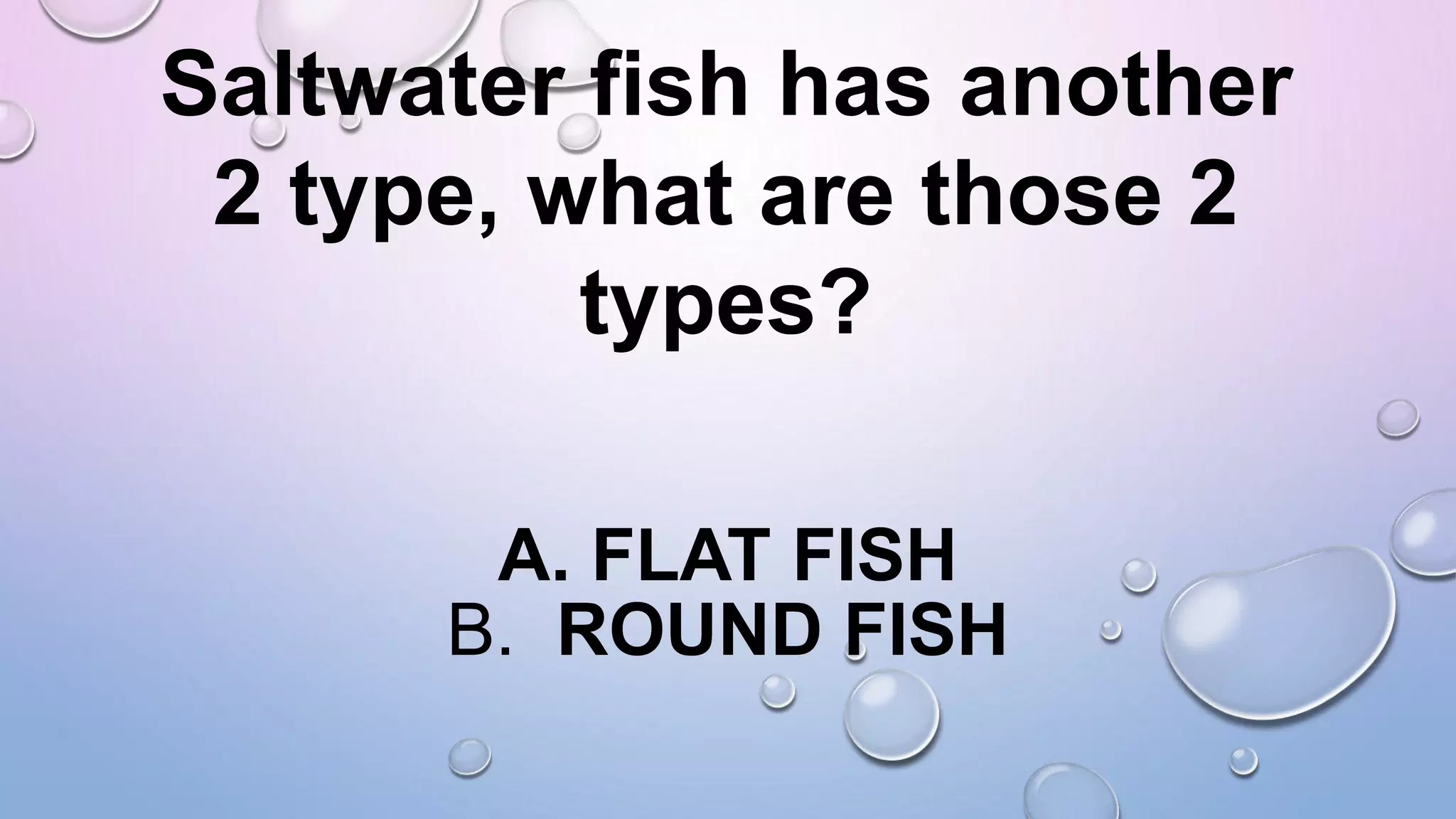 final POWERPOINT cot 2 2023 quarter 4.pptx