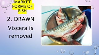 final POWERPOINT cot 2 2023 quarter 4.pptx