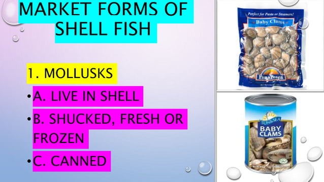 final POWERPOINT cot 2 2023 quarter 4.pptx