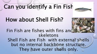 final POWERPOINT cot 2 2023 quarter 4.pptx